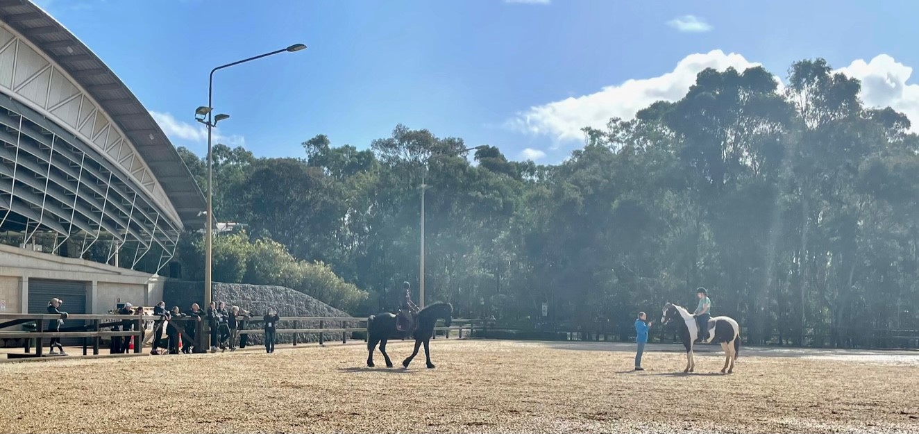 EA Para Classifier Course | Equestrian Australia